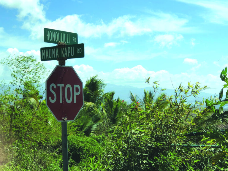 Kunia Loa Ridge Farmland, khu dân cư mới của người Việt tại Hawaii ...