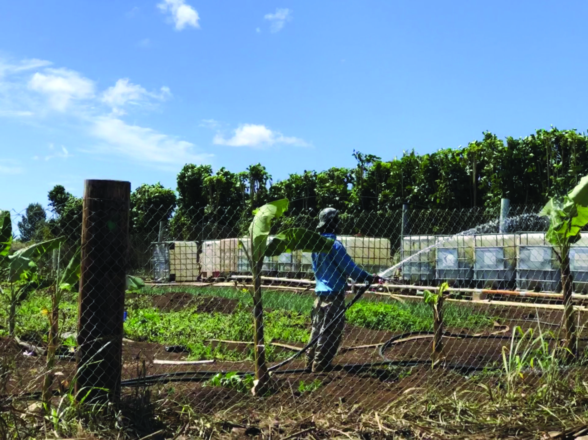 Kunia Loa Ridge Farmland, khu dân cư mới của người Việt tại Hawaii ...