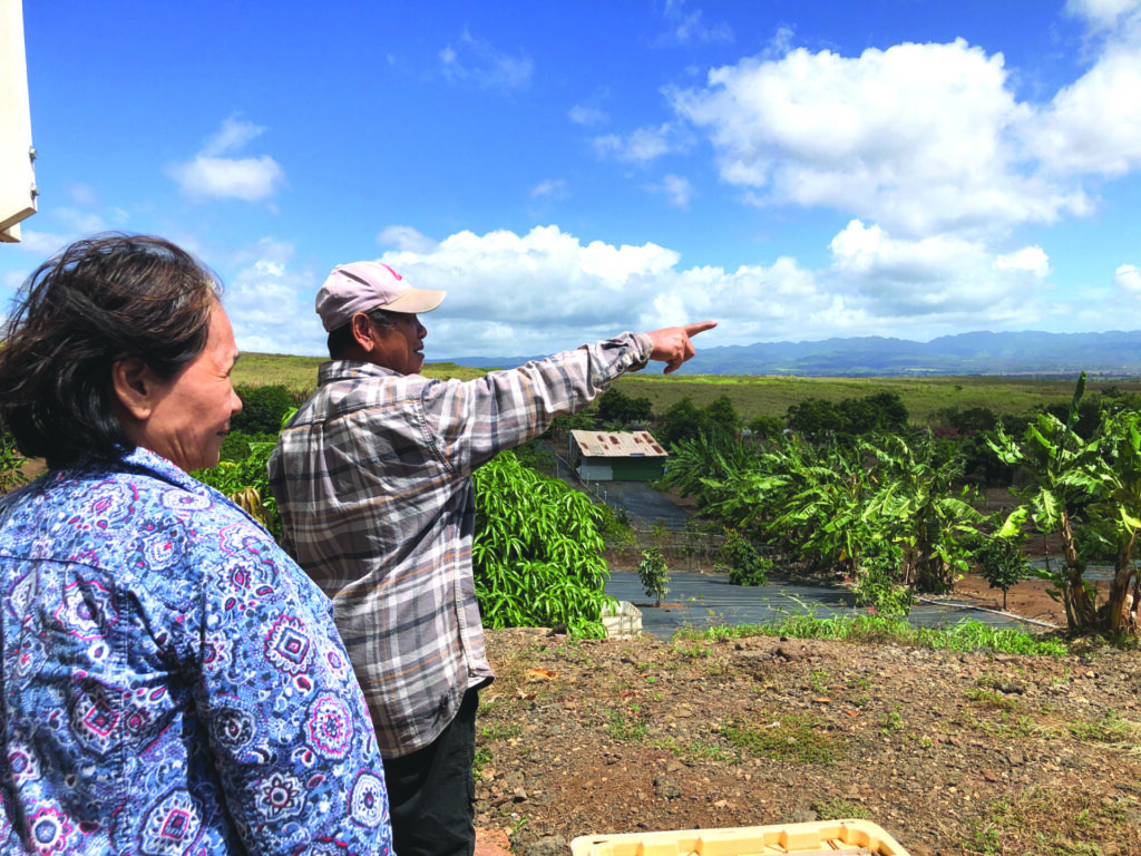 Kunia Loa Ridge Farmland, khu dân cư mới của người Việt tại Hawaii ...
